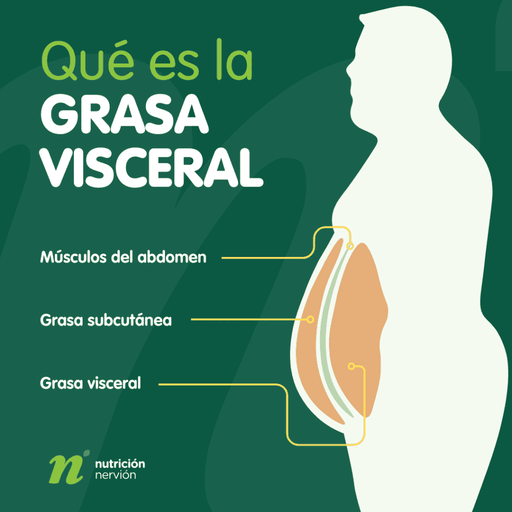 Cómo perder grasa visceral