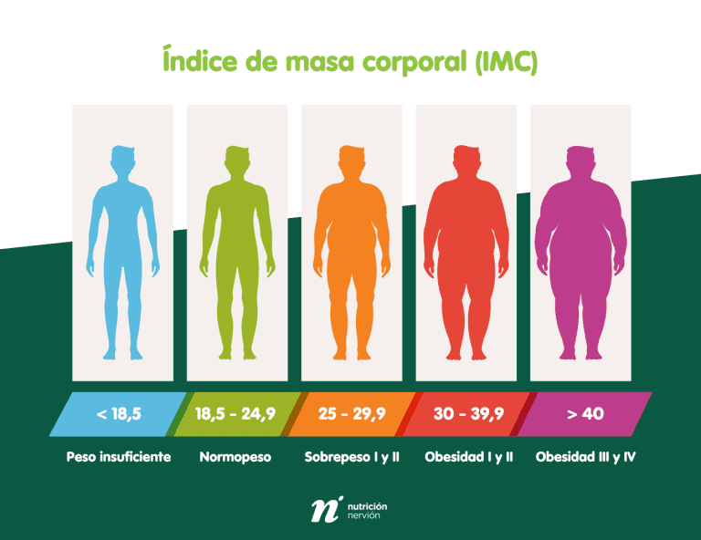 Índice de Masa Corporal (IMC): Todo lo que Necesitas Saber